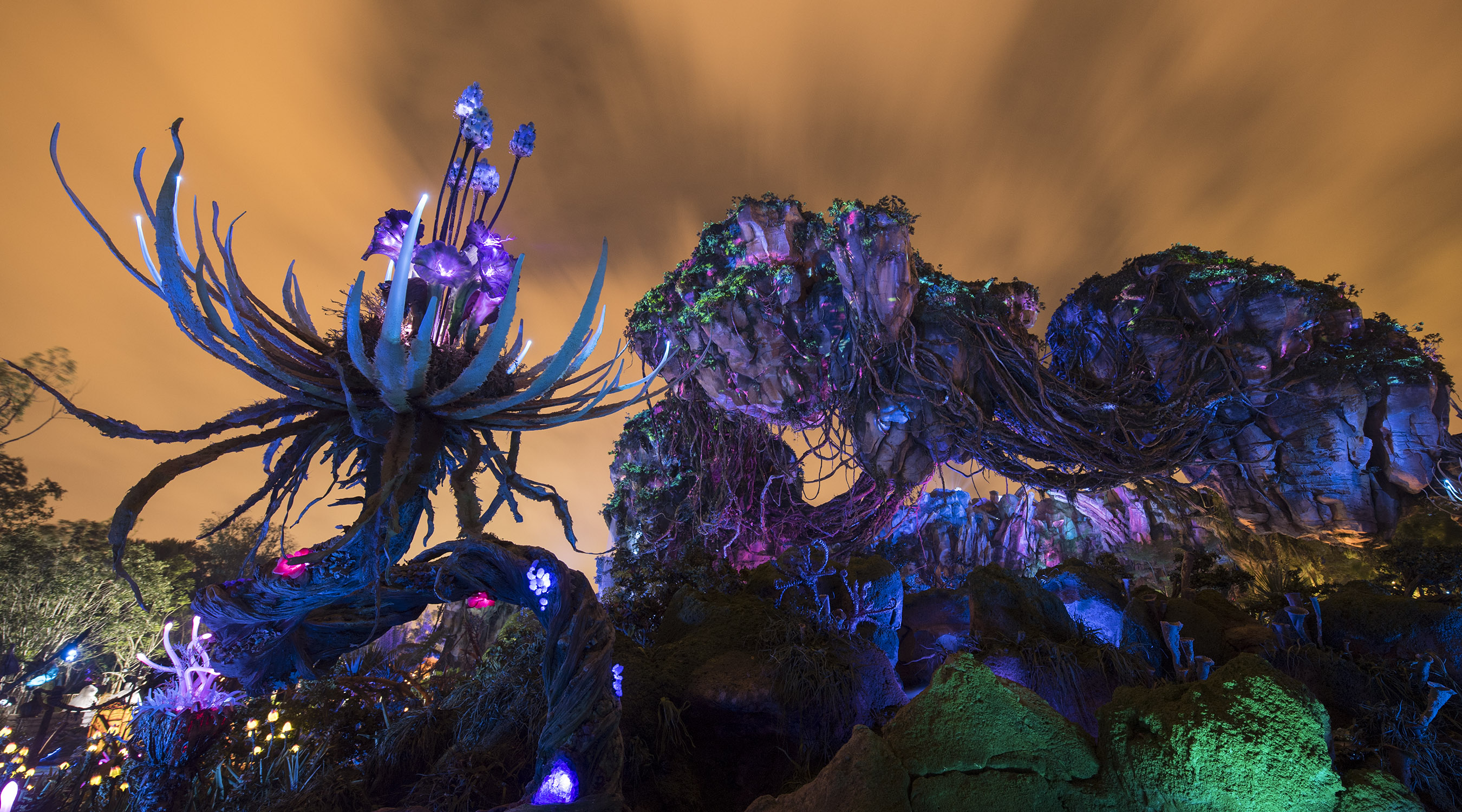 Pandora Ð The World of Avatar at Disney's Animal Kingdom at Night - Eu ...